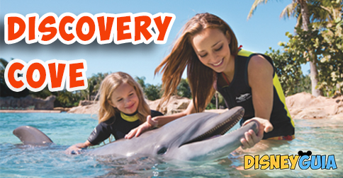 Discovery Cove | Disney Guia